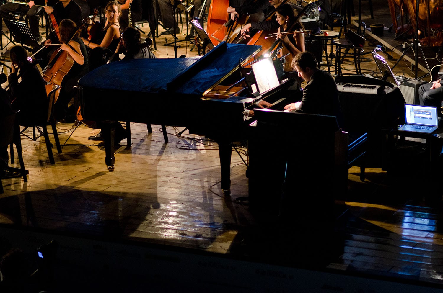 The Artist In Concert