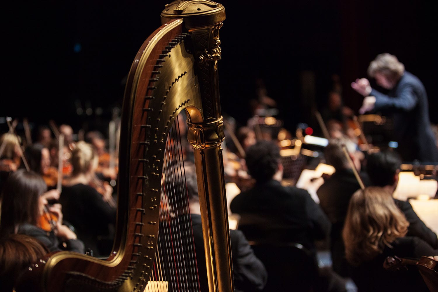 The Artist In Concert